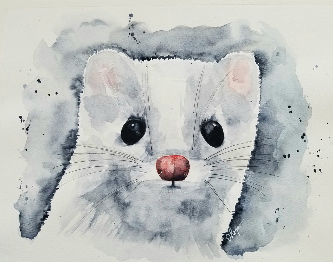 White Weasel Painting, Animal Painting, Weasel Art, Animal Art, Nursery ...