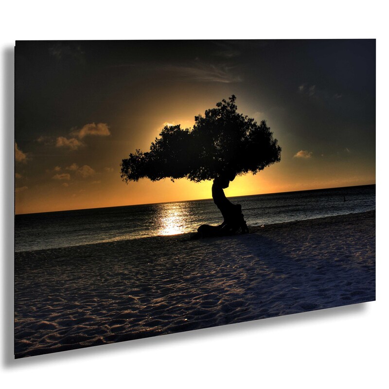 Divi Tree - Etsy
