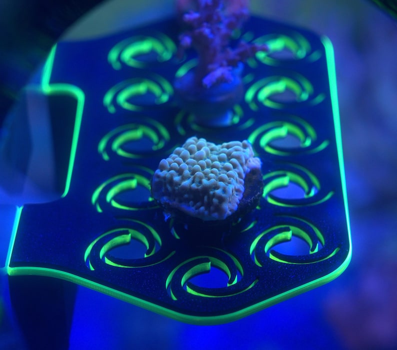 The Grip Rack – Magnetic Coral Frag Rack for Reef Tanks | PETG High ...
