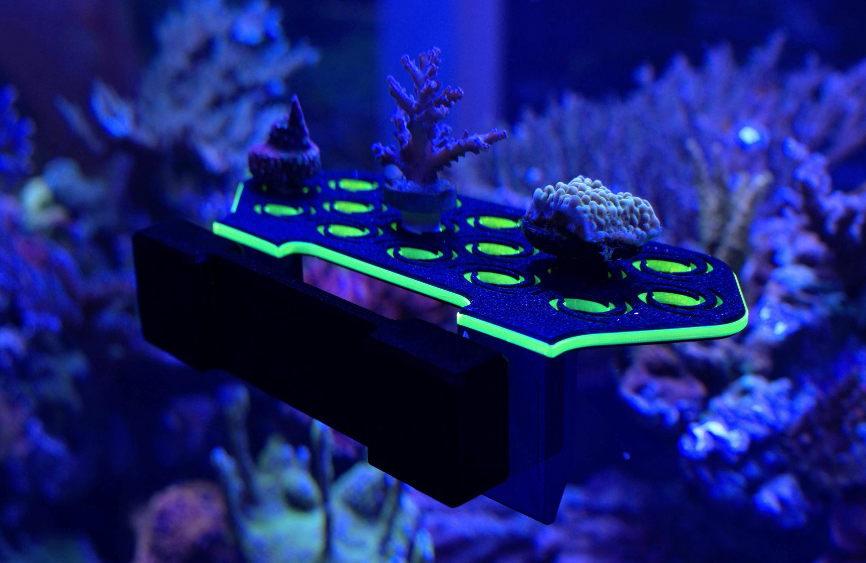 The Grip Rack – Magnetic Coral Frag Rack for Reef Tanks | PETG High ...