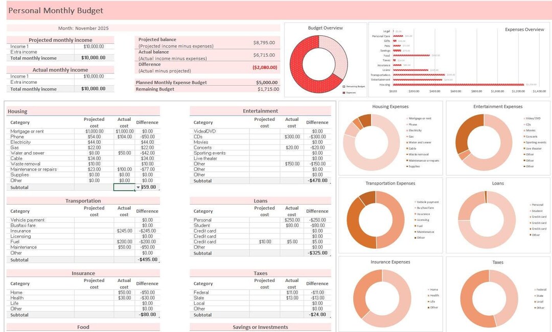 Cute Excel Budget Template With Graphs | Monthly Expense Tracker ...
