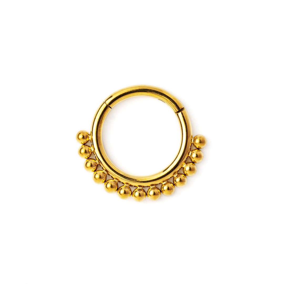 Liya Clicker Septum Ring, Surgical Steel Hinged Segment Piercing Ring 1 ...
