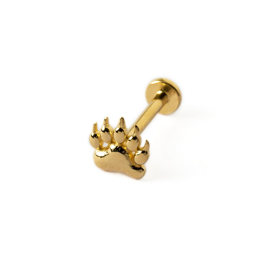 14k Gold Bear Paw Labret, Internally Threaded Screw on Earring 16g, 8mm ...