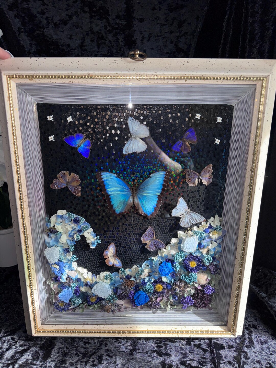 Butterfly Wave Frame, Morpho Butterflies, Insect Wall Art, Taxidermy - Etsy