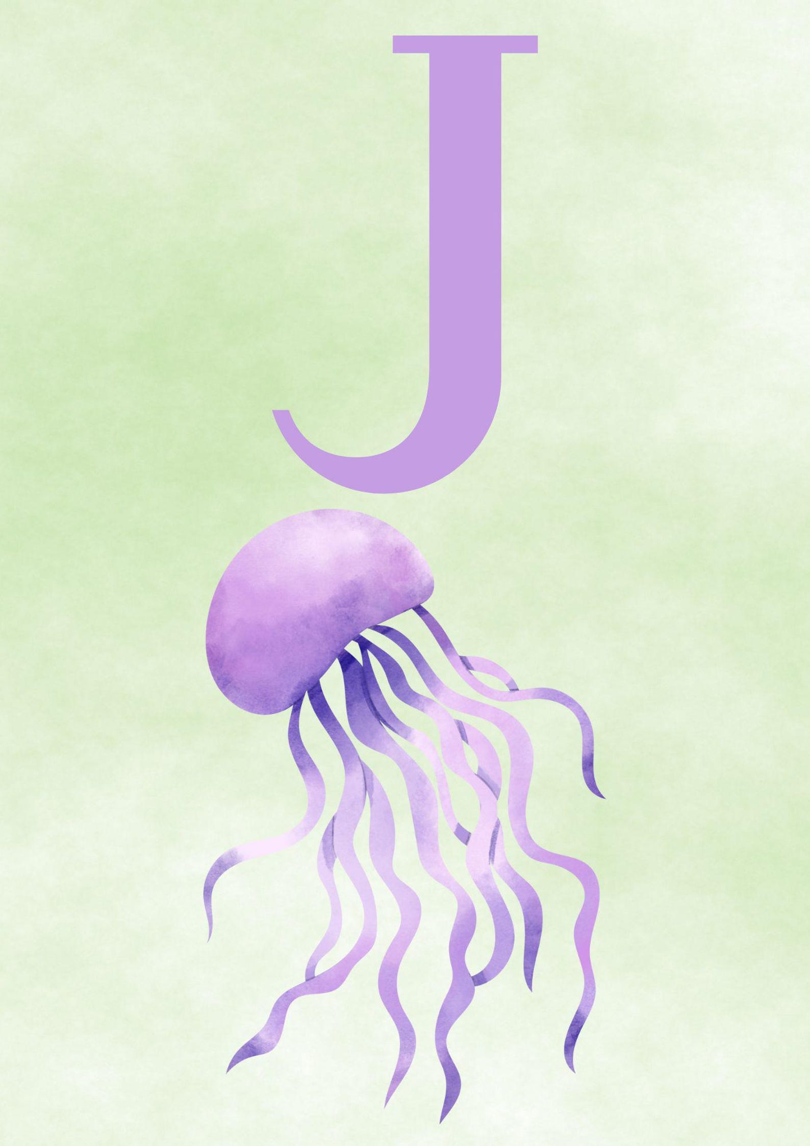 Animal Alphabet A-Z Bundle | Printable PDF & High-quality JPG + Fun Educational Video for Kids ...