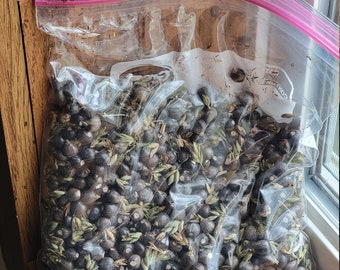 Cherokee Corn Beads | Etsy