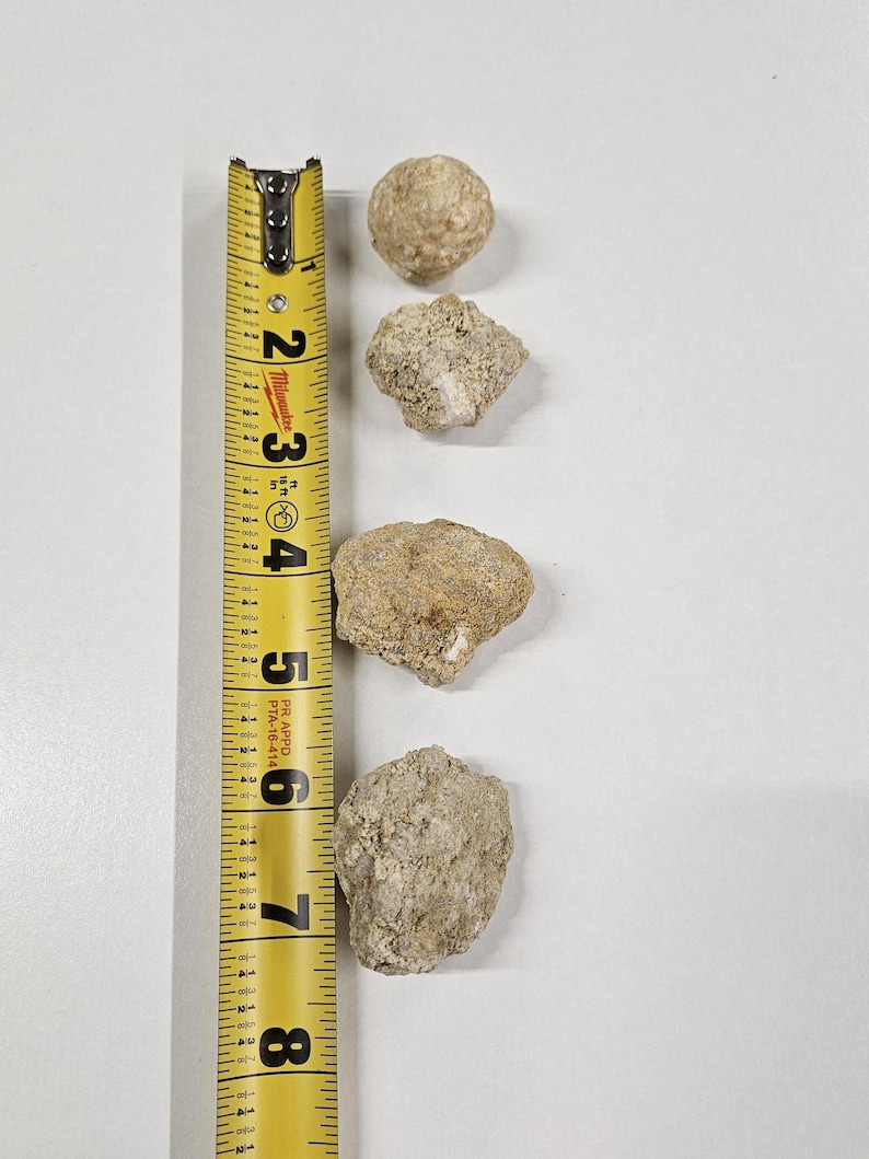 Mini Geode Bucket Geodes Nature Birthday Gifts Adventure Bucket - Etsy