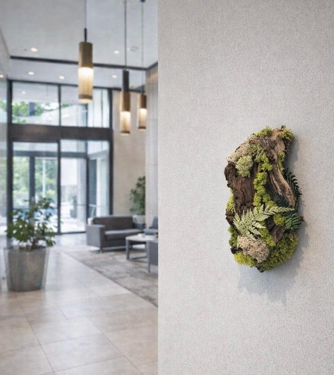 Plant Frame Made From Olive Wood Root - Unique and Natural Wall ...