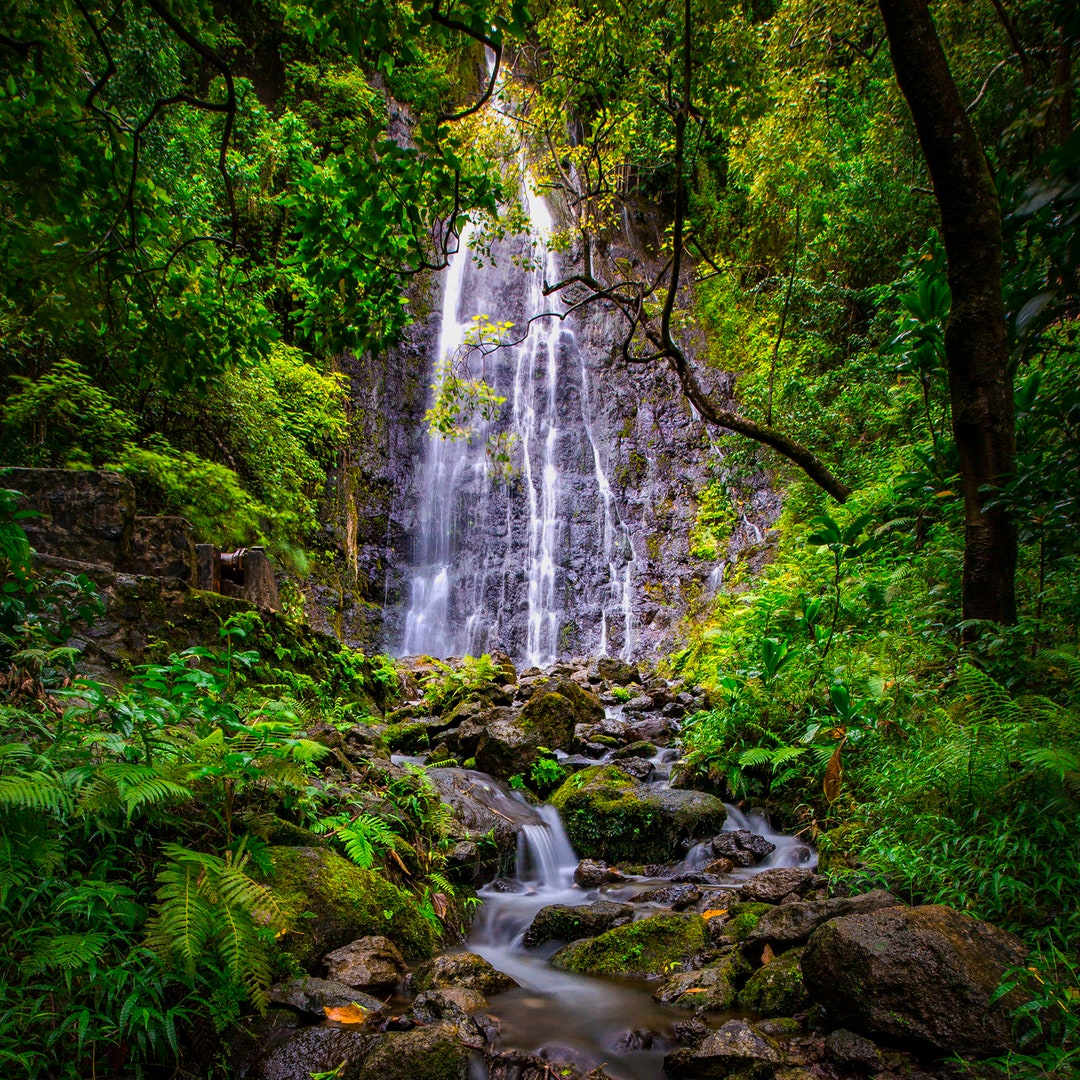 Hamama Falls Waterfall Oahu Hawaii Fabric Panel Hawaiian Fabric Quilt ...