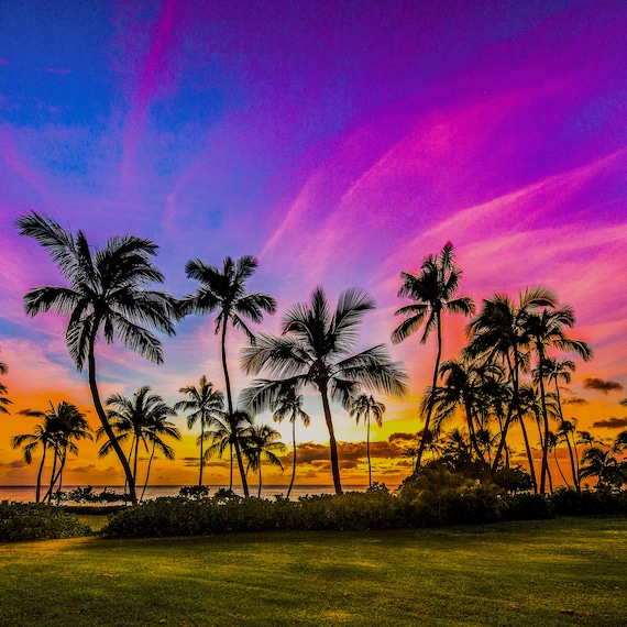 Purple Sunset Hawaii