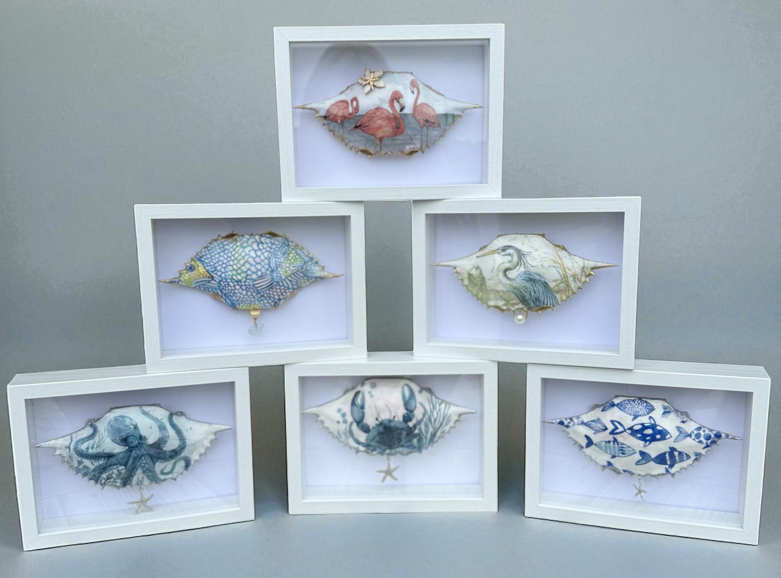 Maryland Blue Crab Shell Framed - Etsy