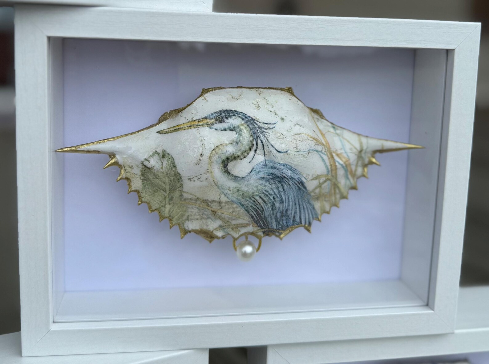 Maryland Blue Crab Shell Framed - Etsy