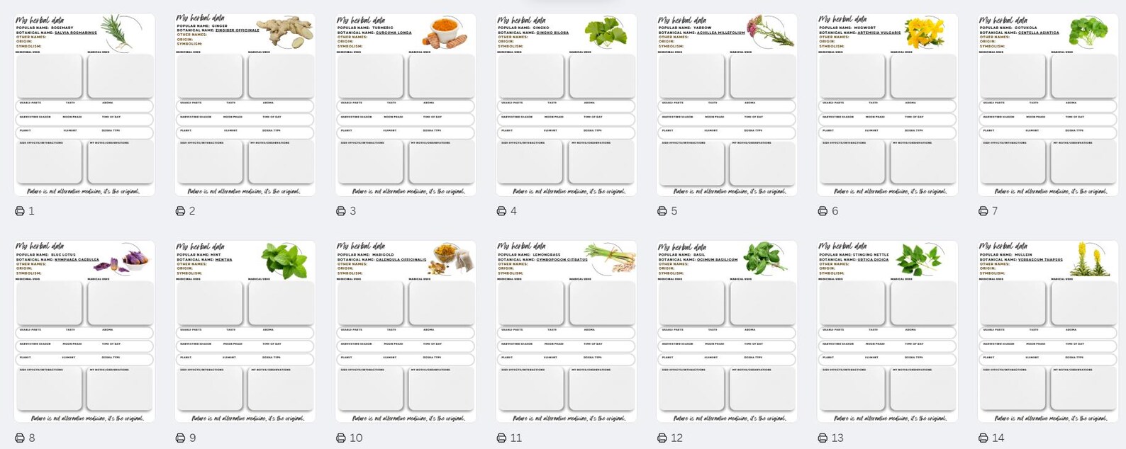 Printable Materia Medica Pages - 25 Plants/herbs You Should Know PLUS ...