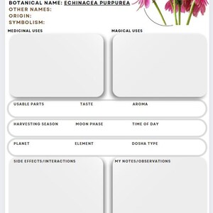Printable Materia Medica Pages - 25 Plants/herbs You Should Know PLUS ...