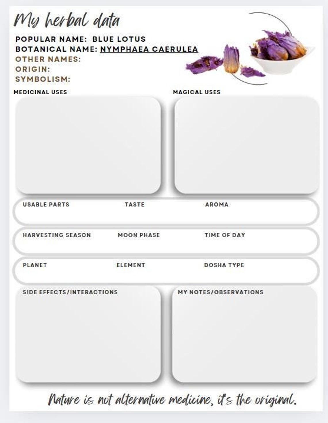 Printable Materia Medica Pages - 25 Plants/herbs You Should Know PLUS ...