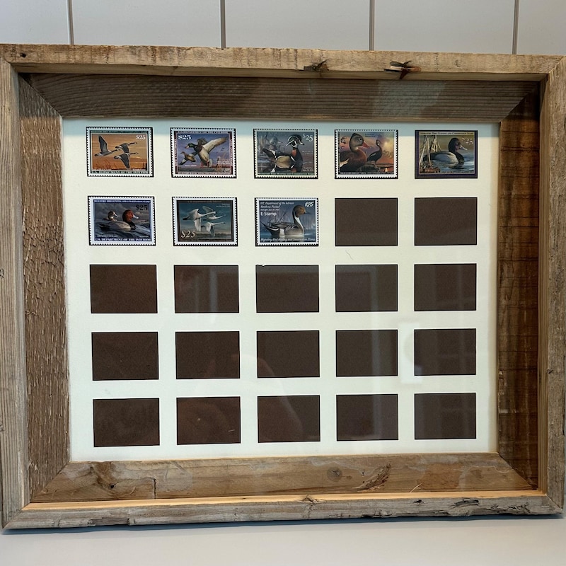 Duck Pictures With Frames - Etsy