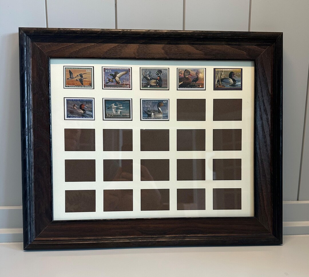 Federal Duck Stamp Picture Frame - Classy Beveled Brown - Etsy