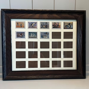 Federal Duck Stamp Picture Frame - Classy Beveled Brown - Etsy