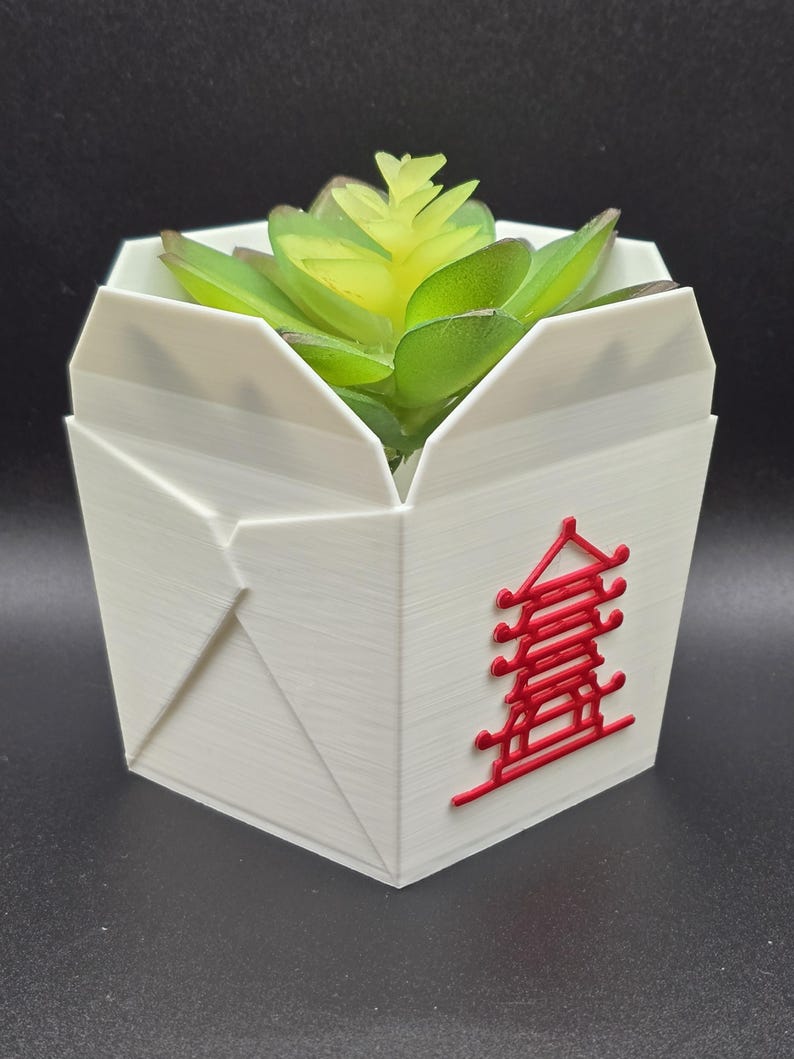 Chinese Takeout Box Succulent Planter, Gift Box and More - Etsy