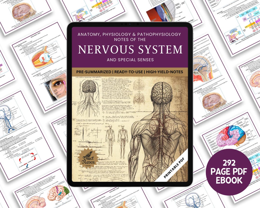 The Nervous System & Special Senses Notes : Ready-to-study Anatomy ...