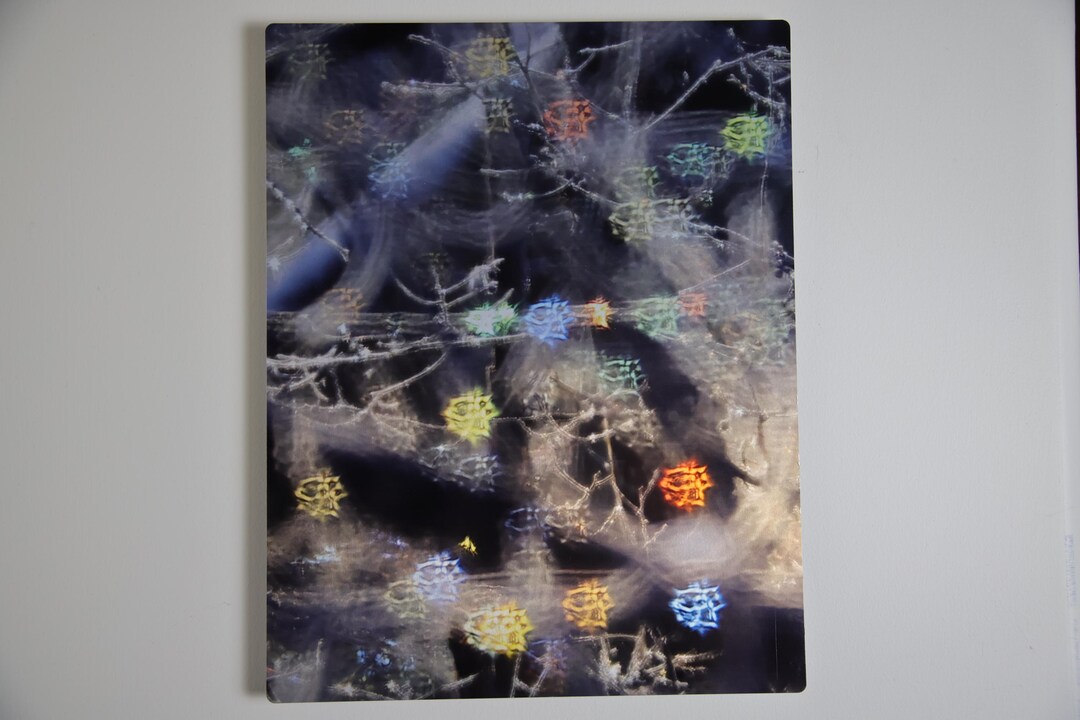 Metal Art Print. Refraction of Light Through Ice on Limbs Printed on ...