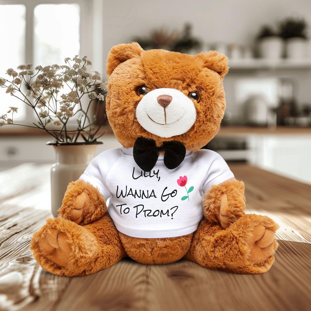 Plush Toy, Promposal Teddy Bear With T-shirt, Personalized Gift for ...
