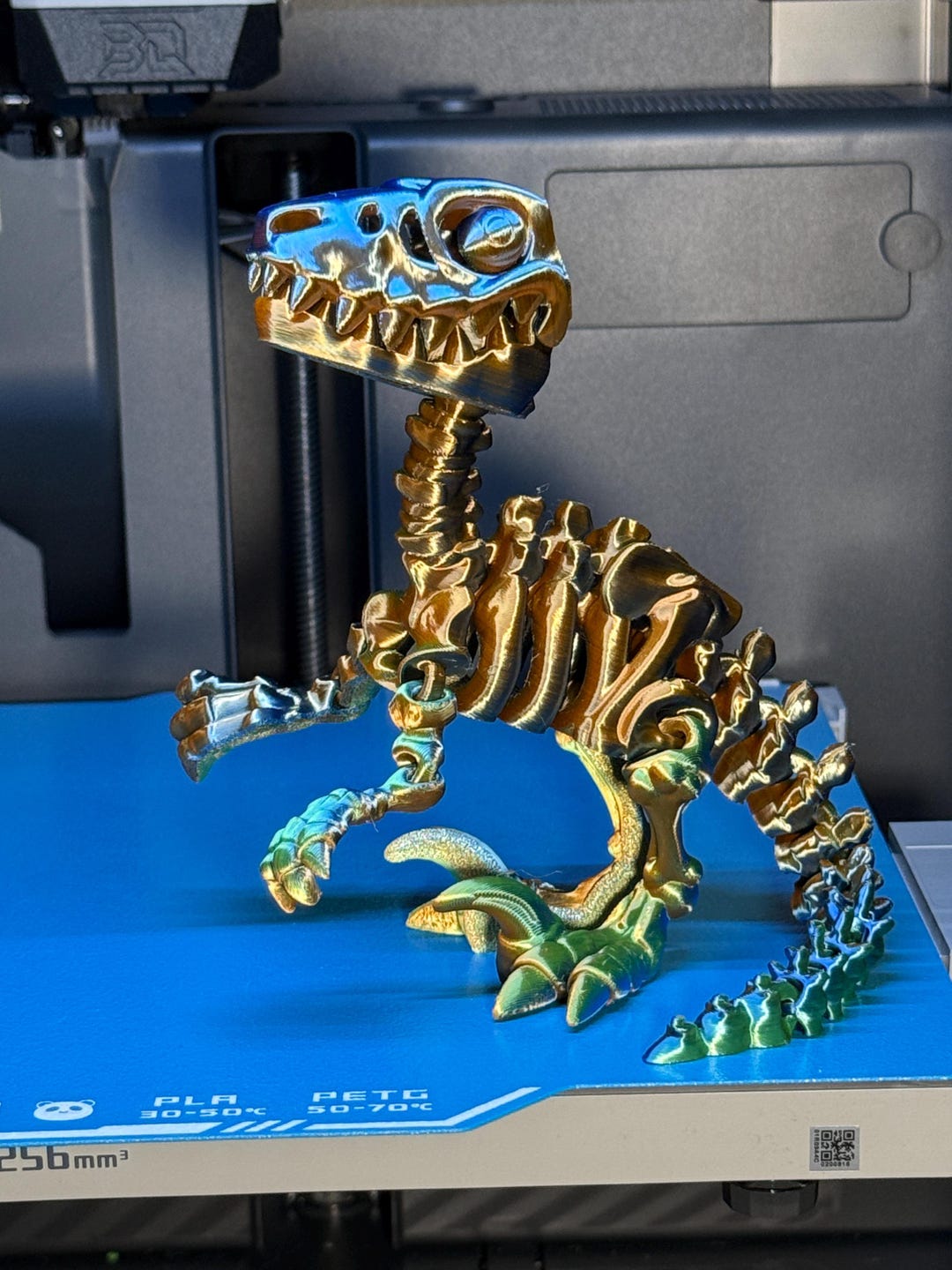 Flexi Skeleton Raptor | 3D Printed Articulating Dinosaur Toy | Dinosaur ...
