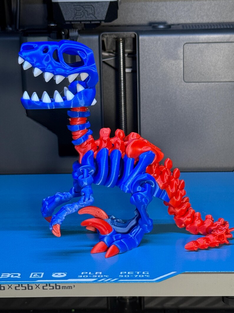 Flexi Skeleton Raptor | 3D Printed Articulating Dinosaur Toy | Dinosaur ...