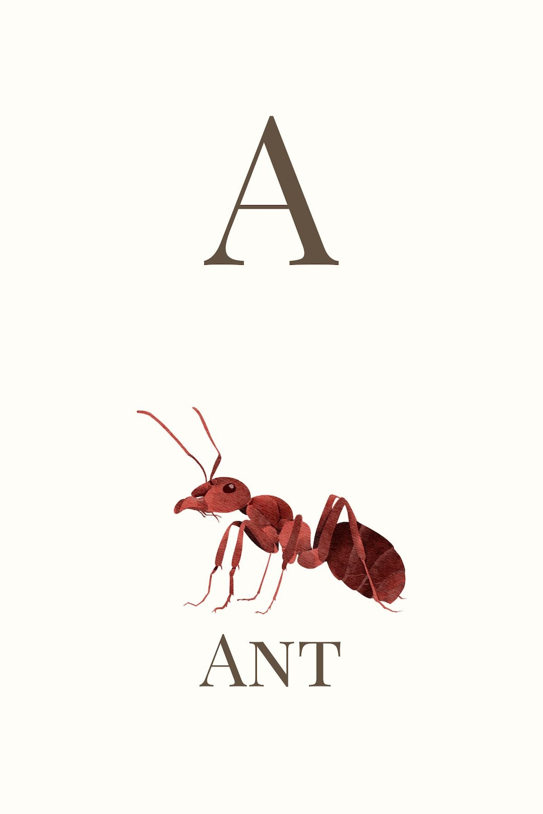 Neutral Animal Alphabet Flash Cards, Digital Download - Etsy