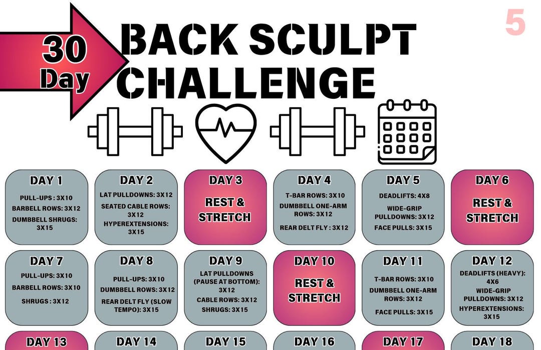 30 Day Back Sculpt Challenge - Etsy