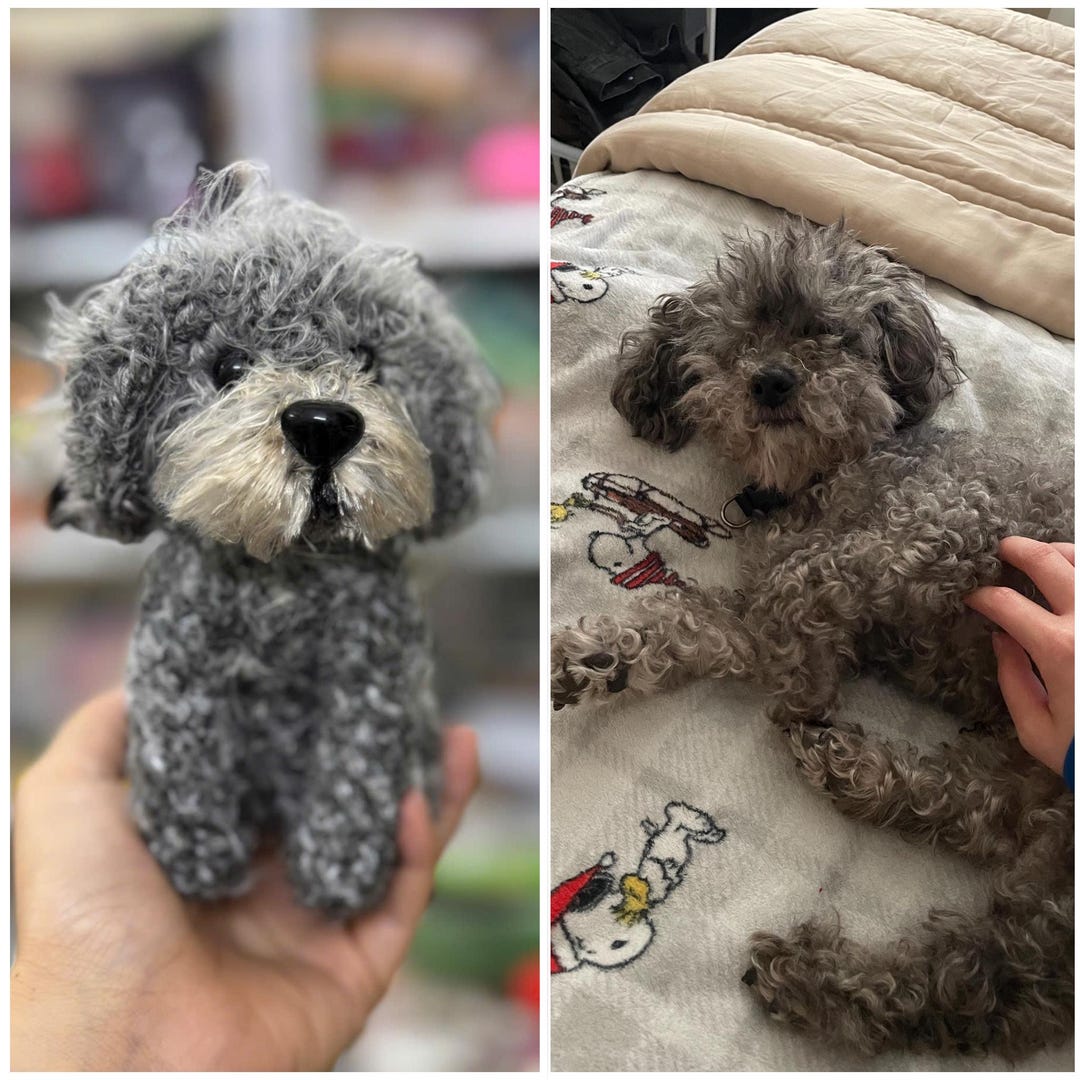 Poodle Crochet, Stuffy of My Pet, Custom Pet Stuffed Animal, Plush From ...