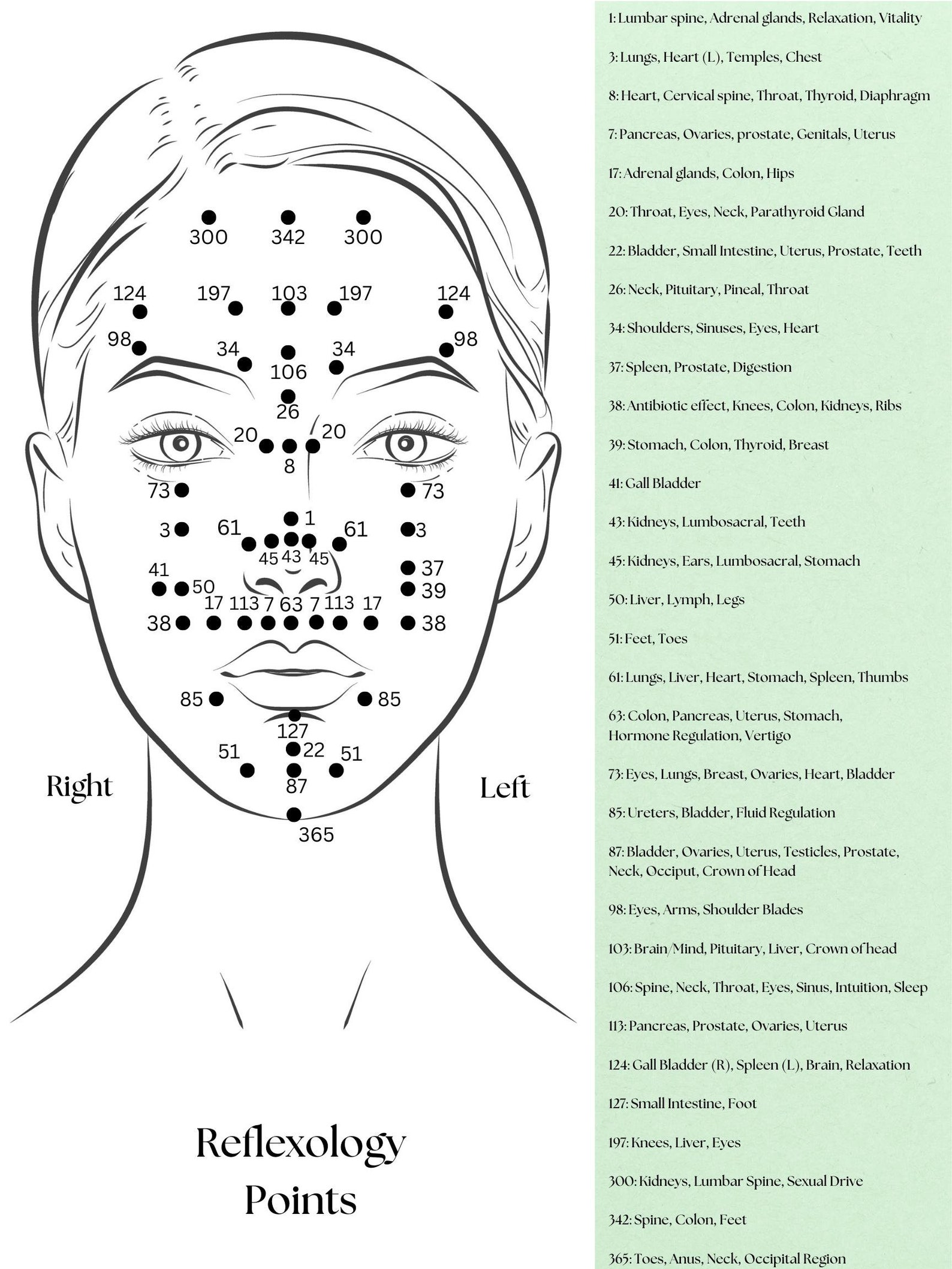 Facial Reflexology Points (front and Side Views) - Etsy