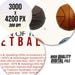 Basketball Evolution Poster: Vintage Game Room Decor (digital Download ...