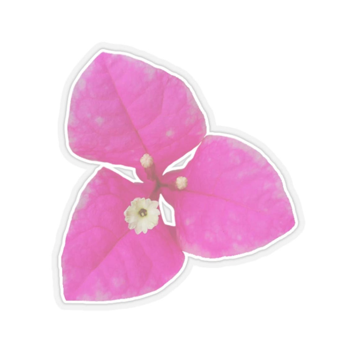 Pink Bougainvillea Flower Kiss-cut Sticker, Glossy Vinyl Floral Decal ...