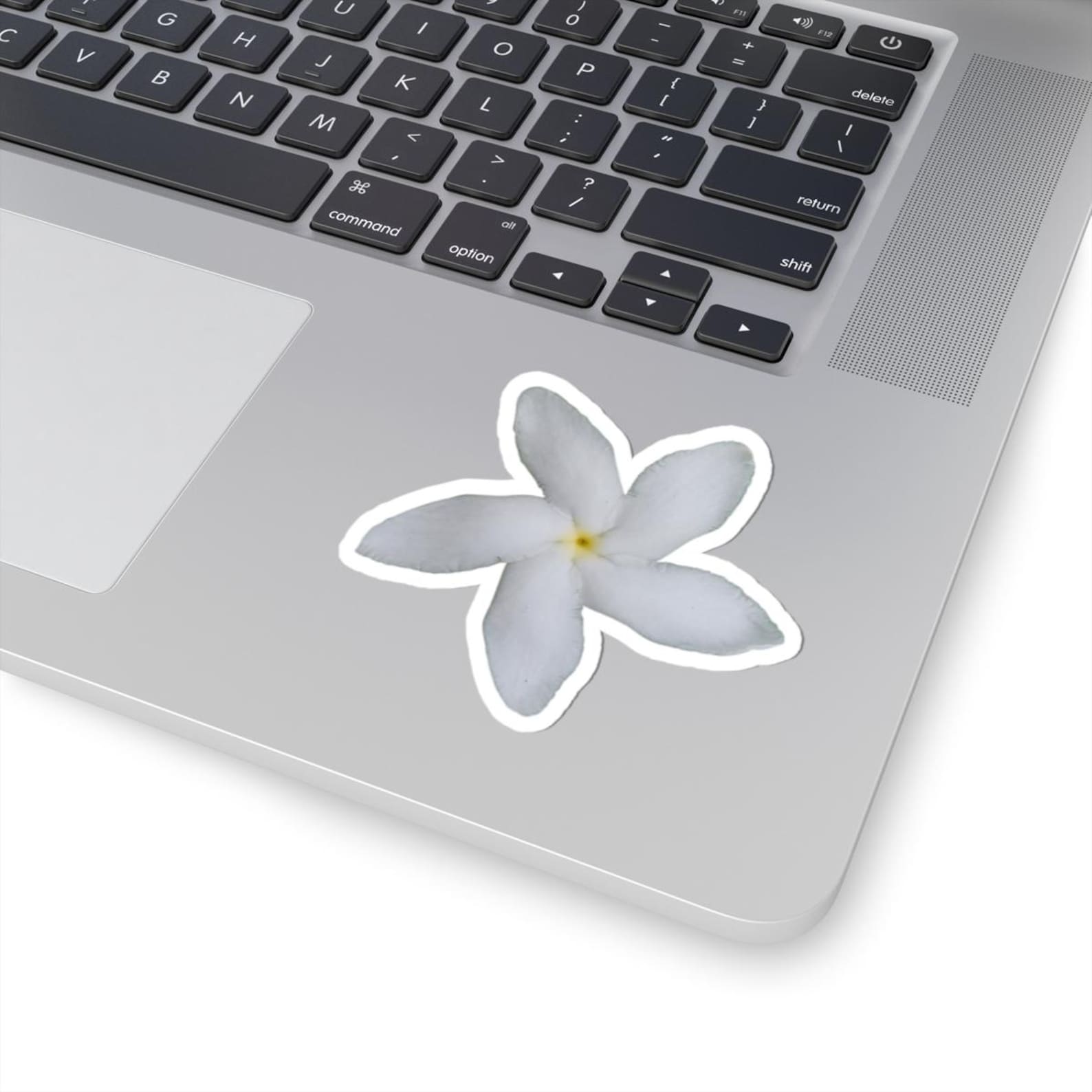 White Star Jasmine Flower Kiss-cut Sticker, Glossy Vinyl Floral Decal ...