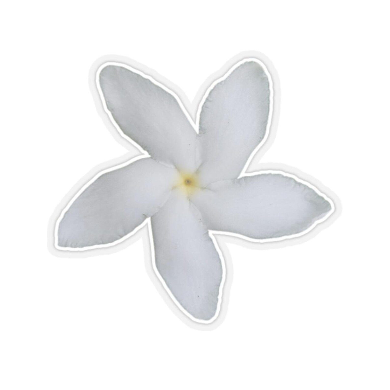 White Star Jasmine Flower Kiss-cut Sticker, Glossy Vinyl Floral Decal ...