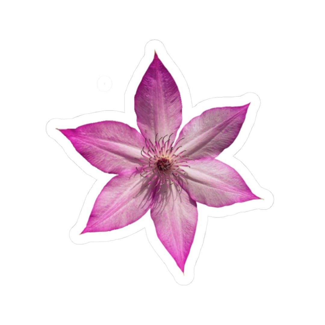 Purple Clematis Hagley Hybrid Flower Kiss-cut Sticker, Glossy Vinyl ...