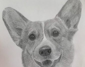 Custom Graphite Pet Portrait 8x10 - Etsy
