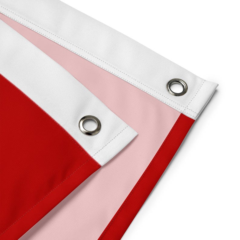 White Dragon Anglo Saxon Flag - Anglo-saxon England Flag - English ...