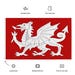 White Dragon Anglo Saxon Flag - Anglo-saxon England Flag - English ...