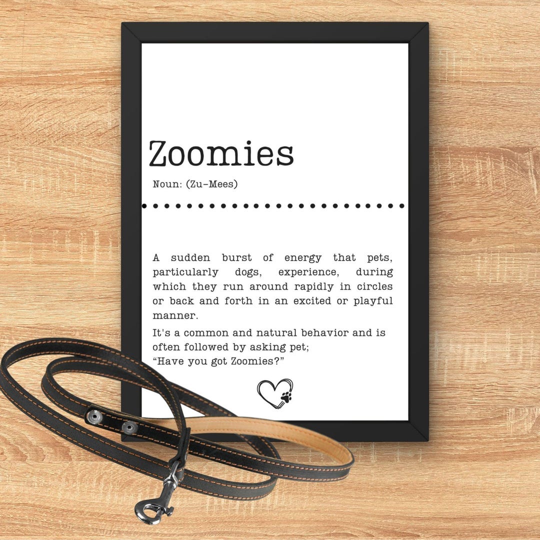 Pet Print Zoomies Pet Quote Wall Art Dog Owner Gift - Etsy