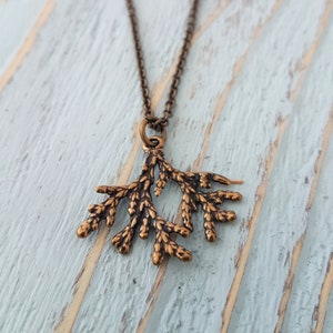 Cedar Necklace, Gold Cedar Jewelry, Botanical Necklace, Cedar Branch ...