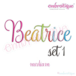 Beatrice 1 Monogram Font- Medium - BX Files Included- Instant Download ...