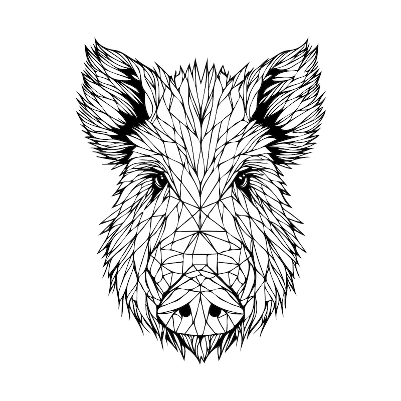 Wild Animals Drawing Easy - Etsy