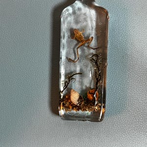 Swimming Frog Bottle - Cast Resin - Etsy