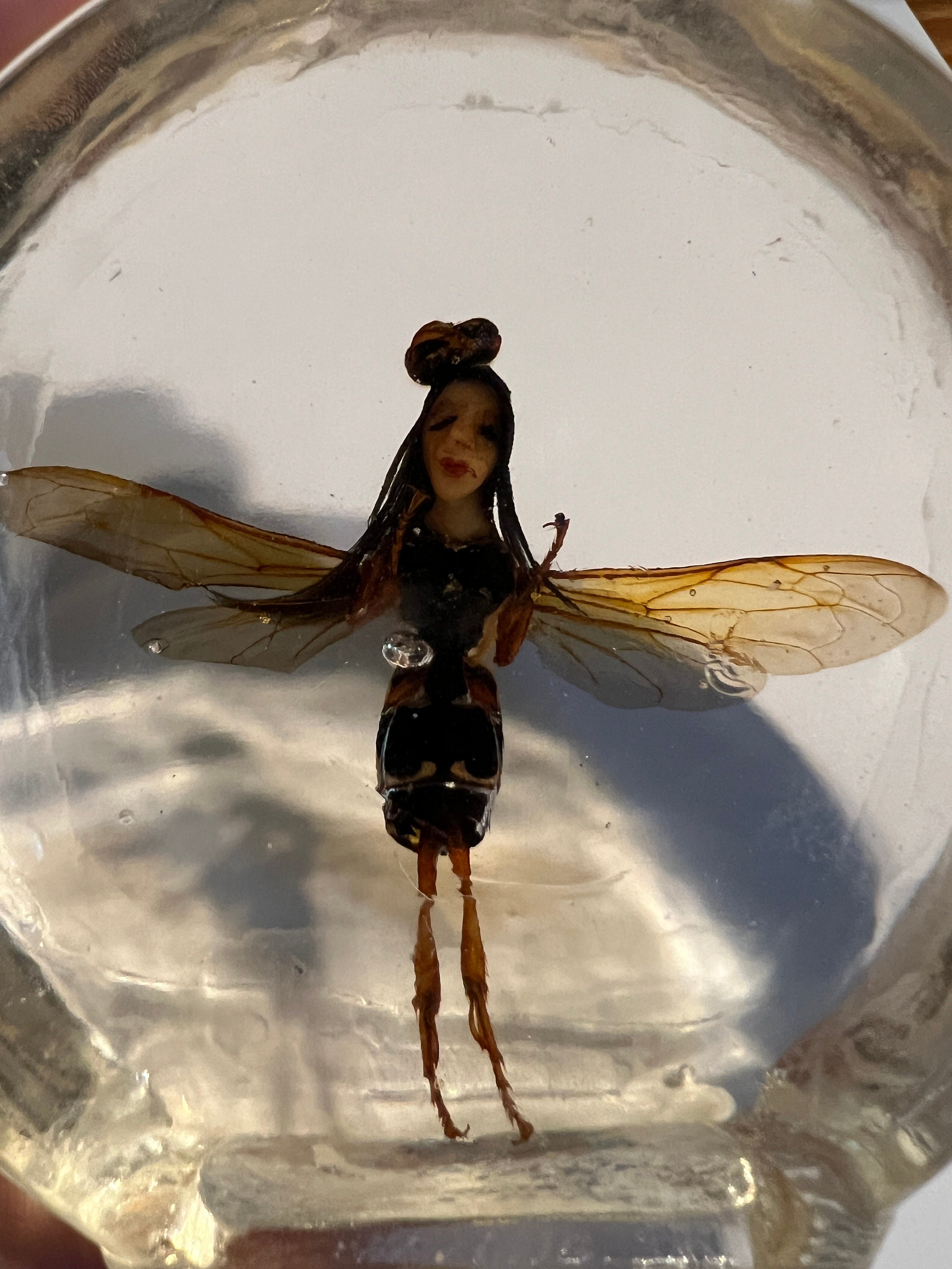 Freshly Caught Fairy Tracker Bug Fae OOAK Sculpture - Etsy