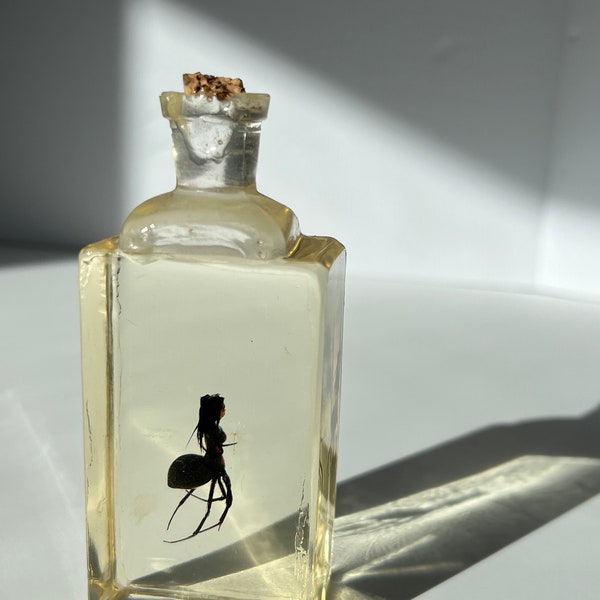 Dead Fairy - Etsy