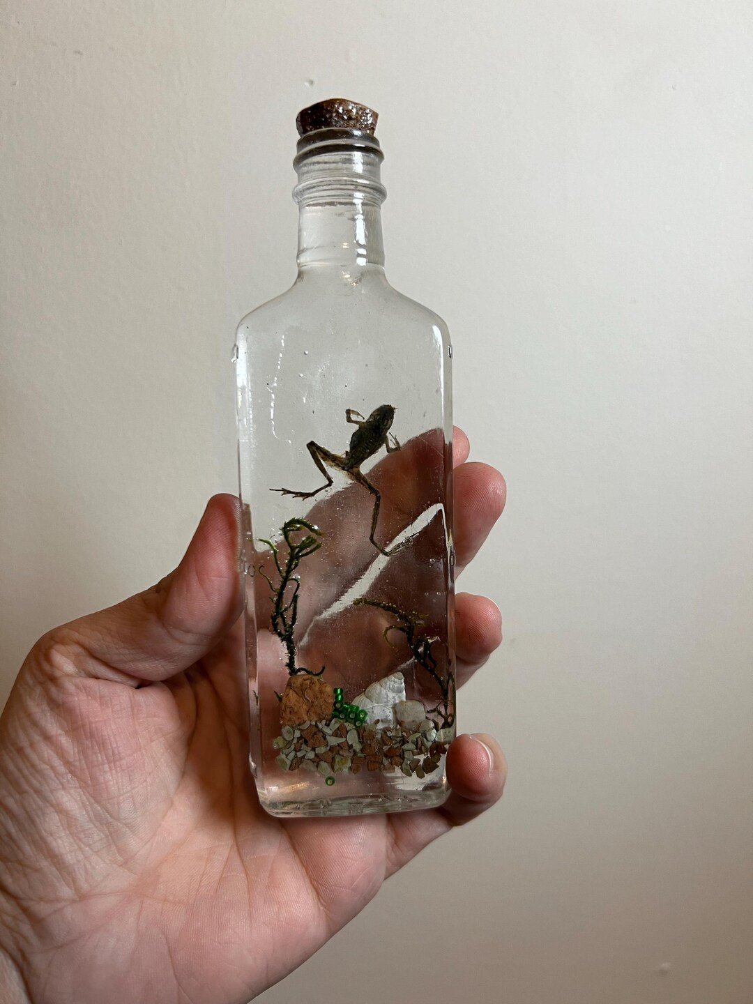 Swimming Frog Bottle - Cast Resin - Etsy