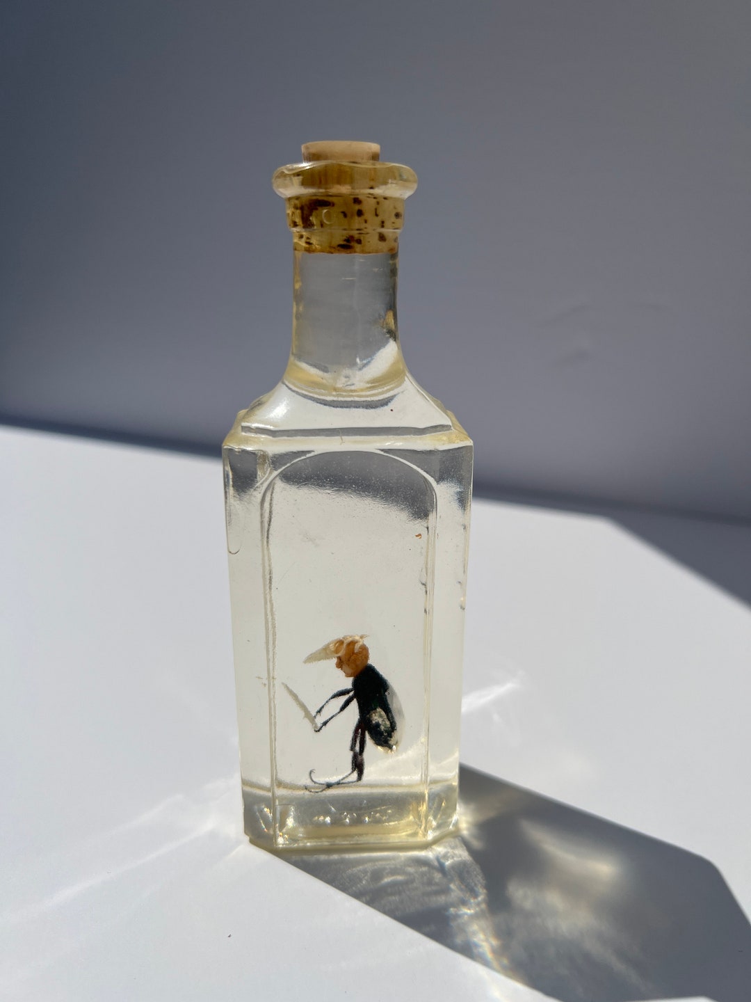 Freshly Caught Fairy - Bone Hunter Bug Fae OOAK Sculpture - Etsy