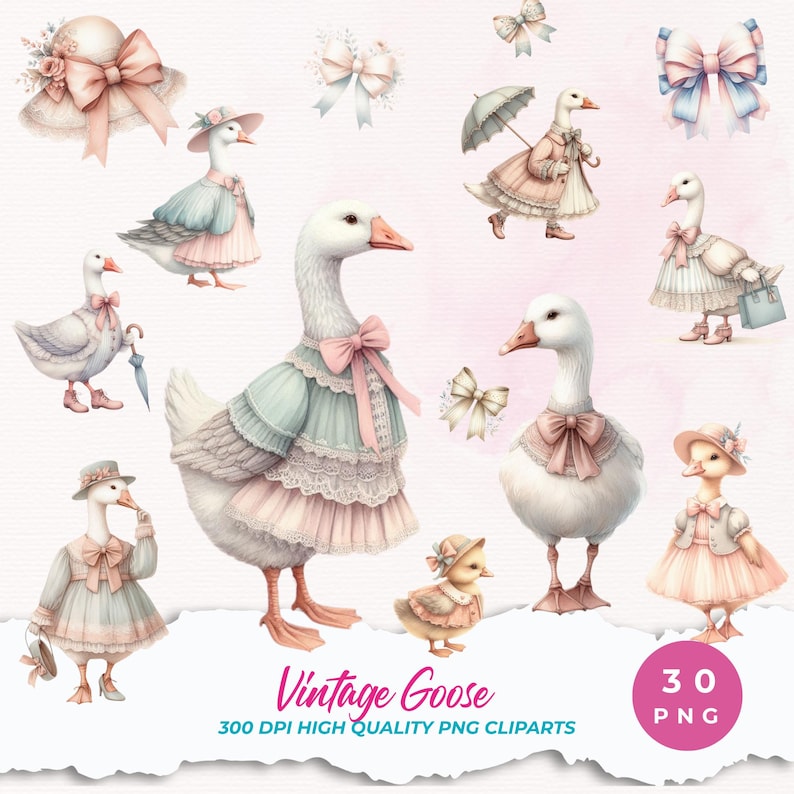Vintage Goose Clipart PNG Set | Dressed Goose Illustration Bundle ...